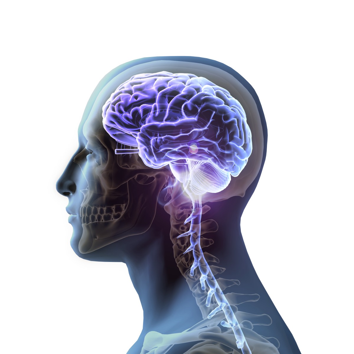 YOUR MIND VS. YOUR BRAIN: TEN THINGS TO KNOW – Prof. Dr Lakshman ...