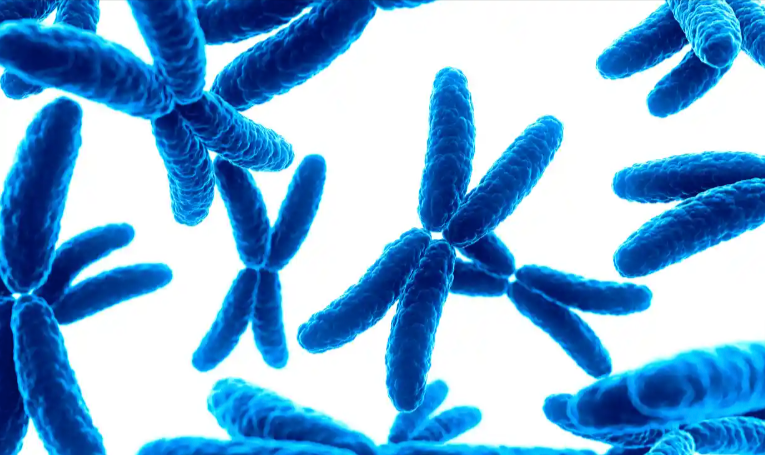 One in 500 men carry extra sex chromosome, research suggests – Prof.Dr ...
